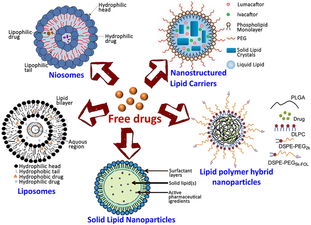 Lipid‐based Nanoparticles As Drug Delivery Systems For, 58% OFF
