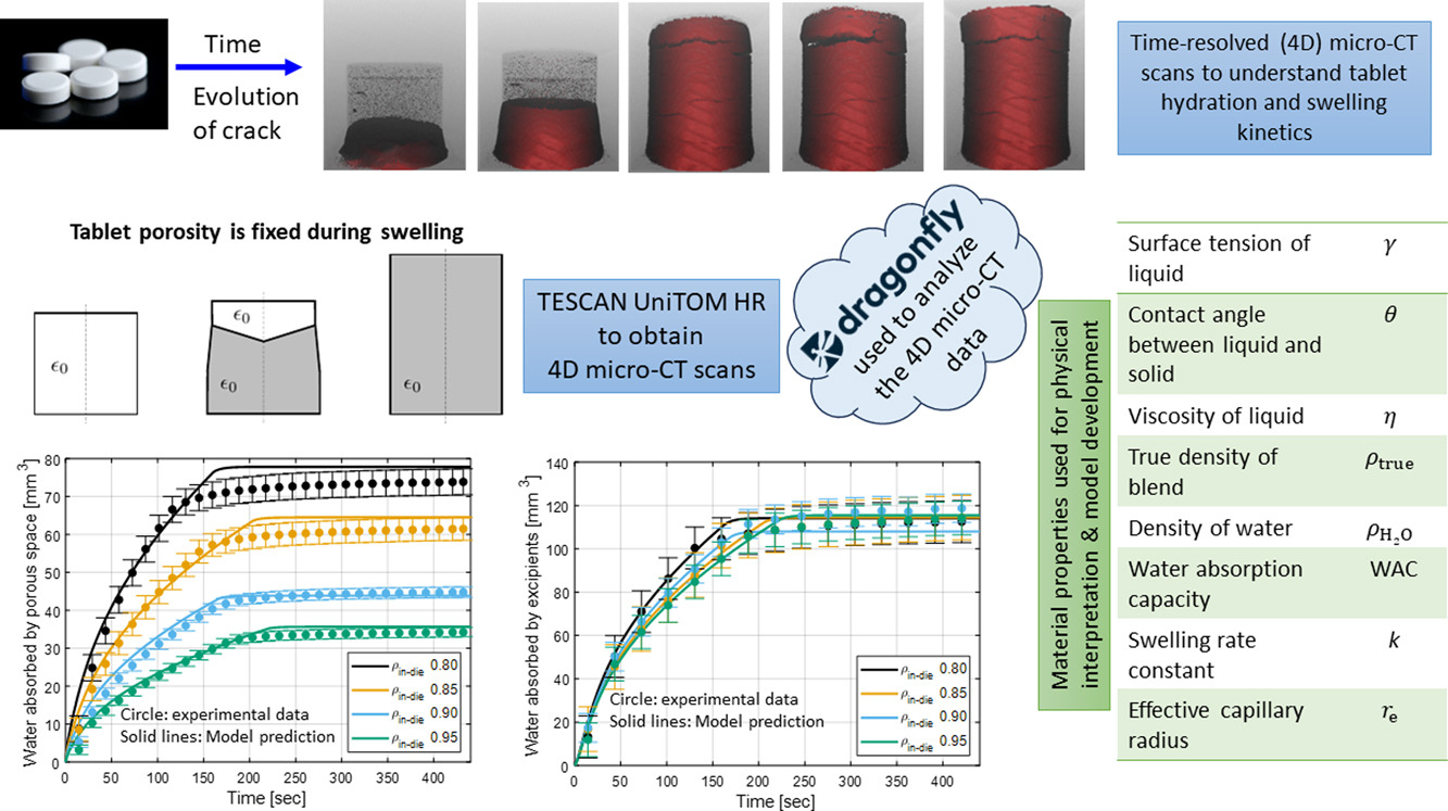 Fast time-resolved micro-CT imaging of pharmaceutical tablets: Insights ...