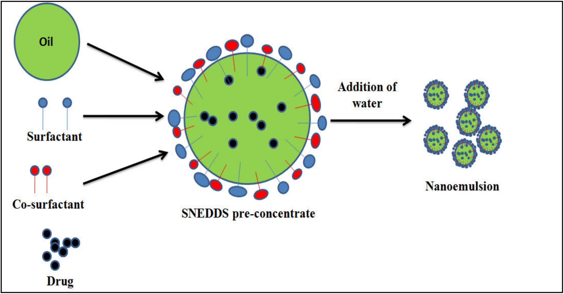 Self-Nano-Emulsifying Drug-Delivery Systems: A Limelight on the ... Self-Nano-Emulsifying Drug-Delivery Systems: A Limelight on the ...