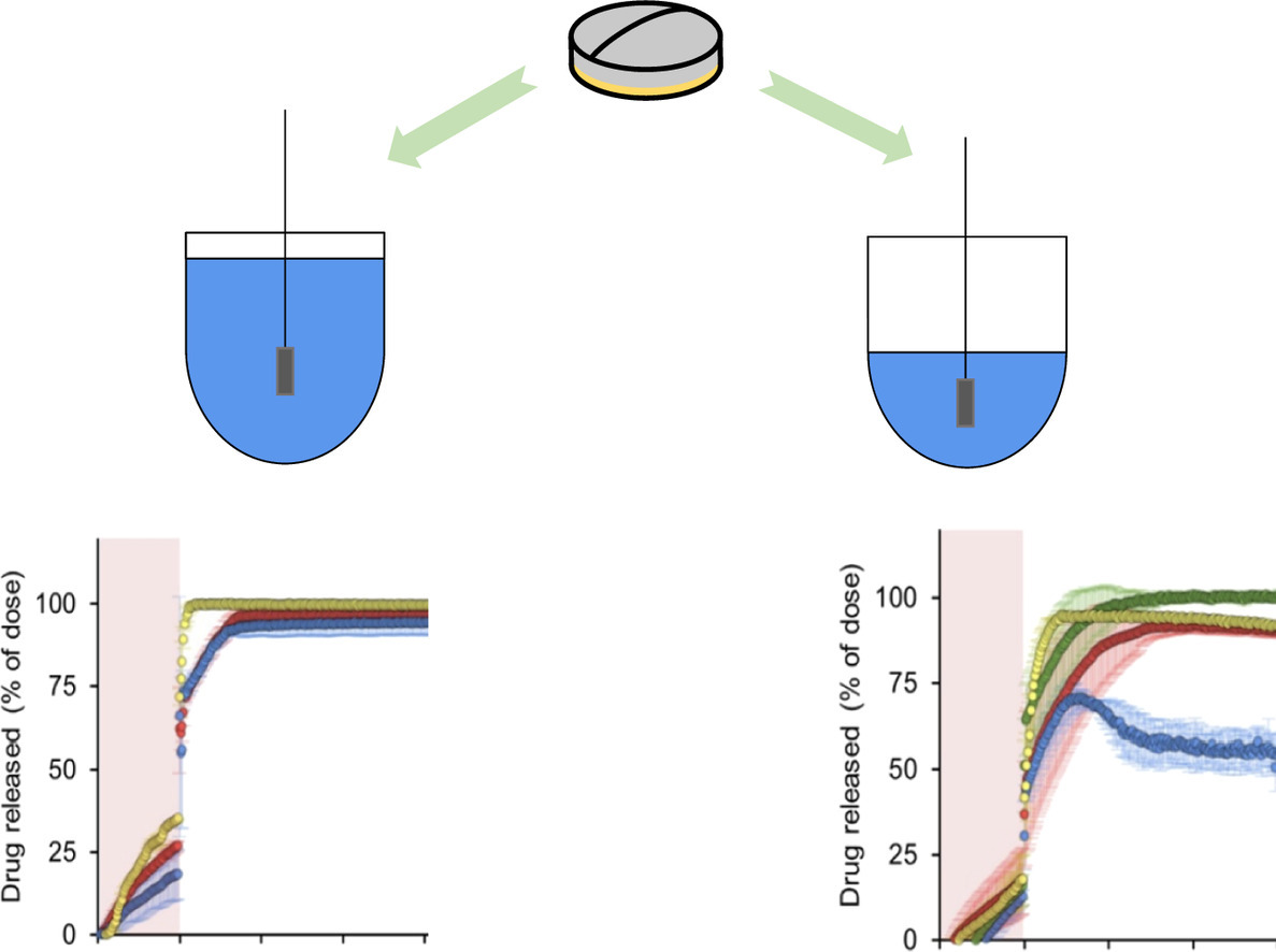 The Impact Of Volume Of Dissolution Medium For Biopredictive