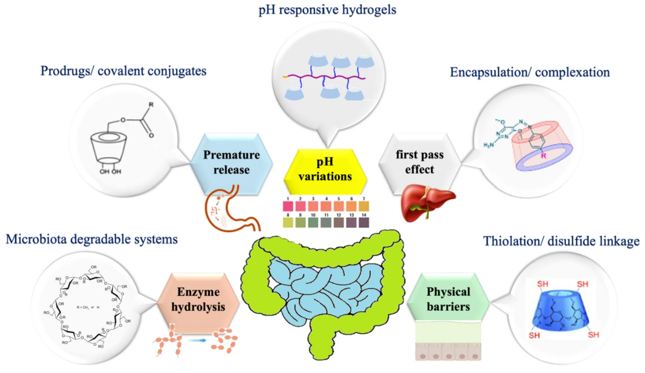 β-cyclodextrin-based multifunctional carriers for colon-targeted drug ...